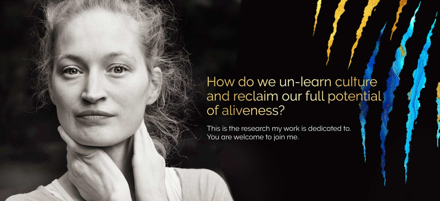 WELCOME - ILAN STEPHANI